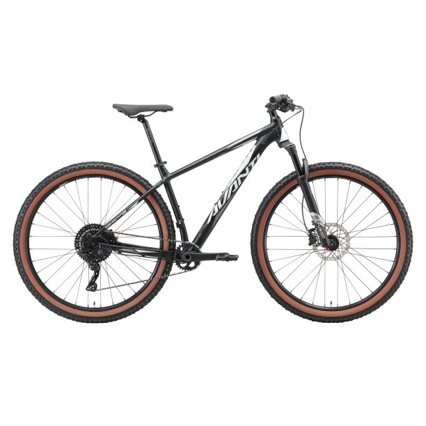 Bikes – Avanti Bikes | We started our ride in 1985